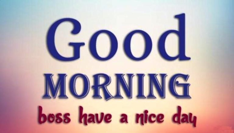 14 Good Morning Pics For Boss