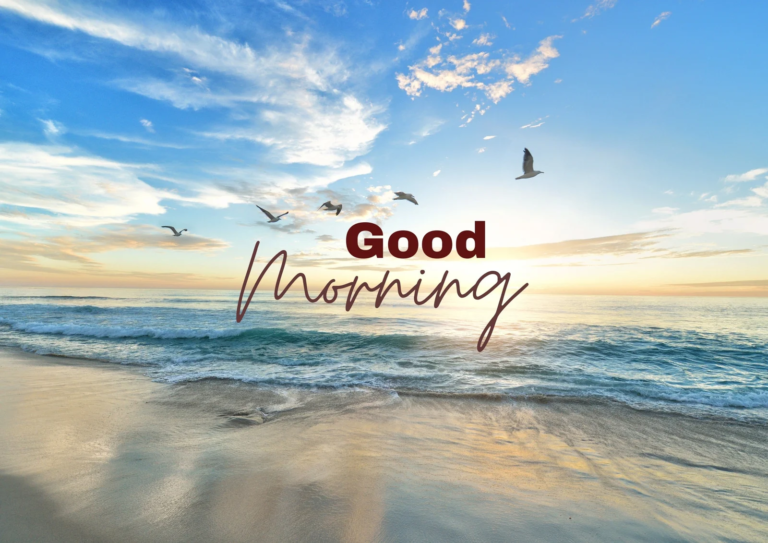 50+ Good Morning Landscape Images