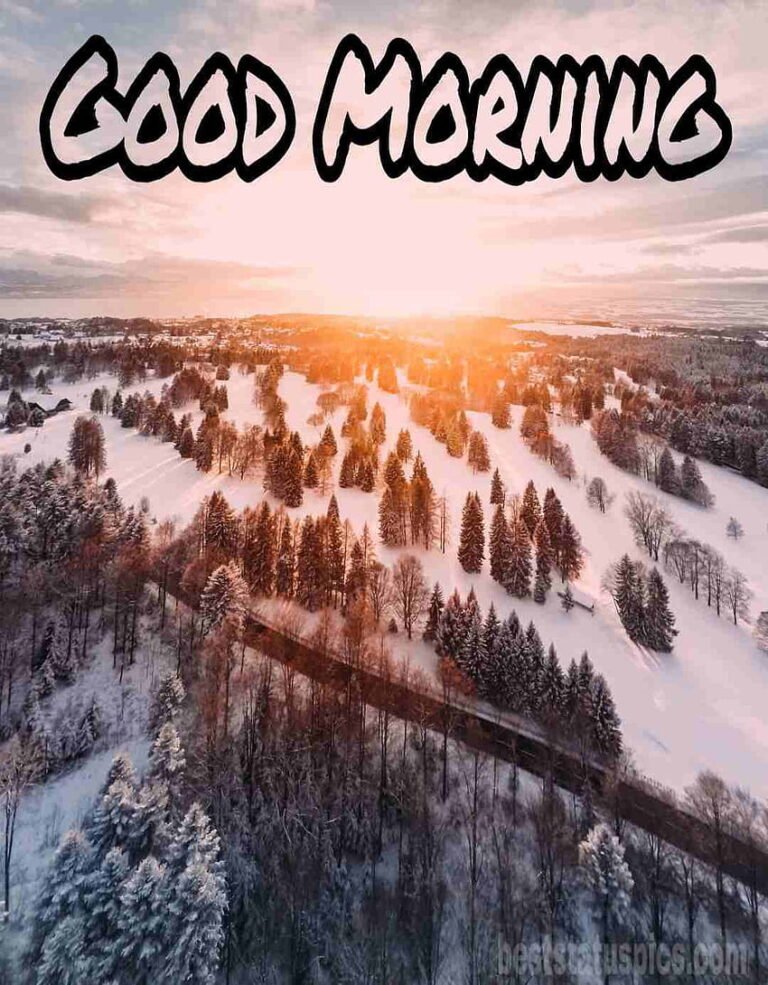 40+ Good Morning Snow Images