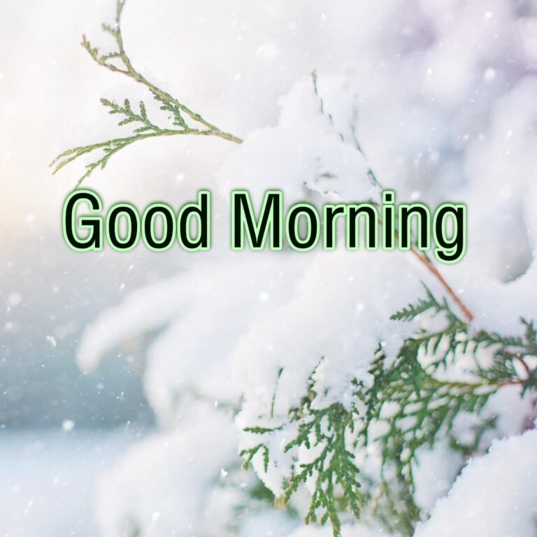 40+ Good Morning Snow Images